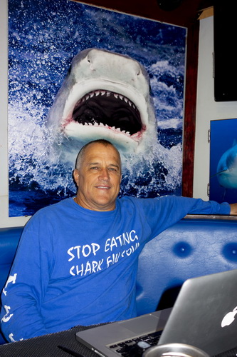 Tiger Beach Sharks - the Real Deal? | An Indopacificimages Article
