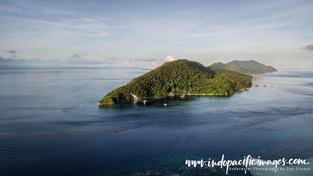 Diving the Dampier Strait | Indopacificimages