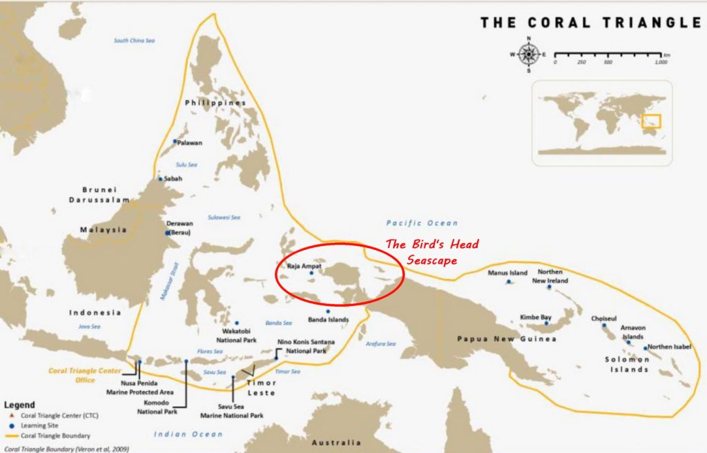 Understanding the Bird’s Head Seascape | Indopacificimages
