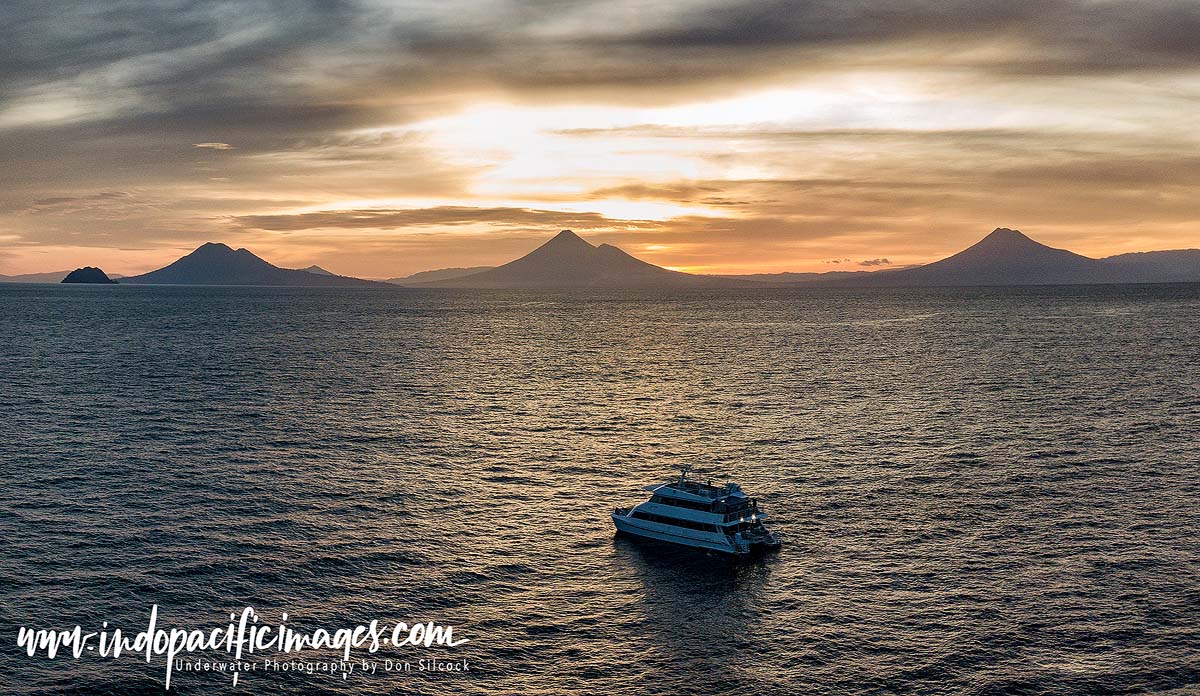 North Coast of New Britain + Oceania_SRGB_logo_1200_LR - Indopacificimages