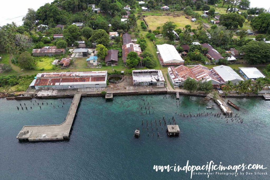 Samarai Island Jetty - A Classic Milne Bay Dive | Indopacificimages