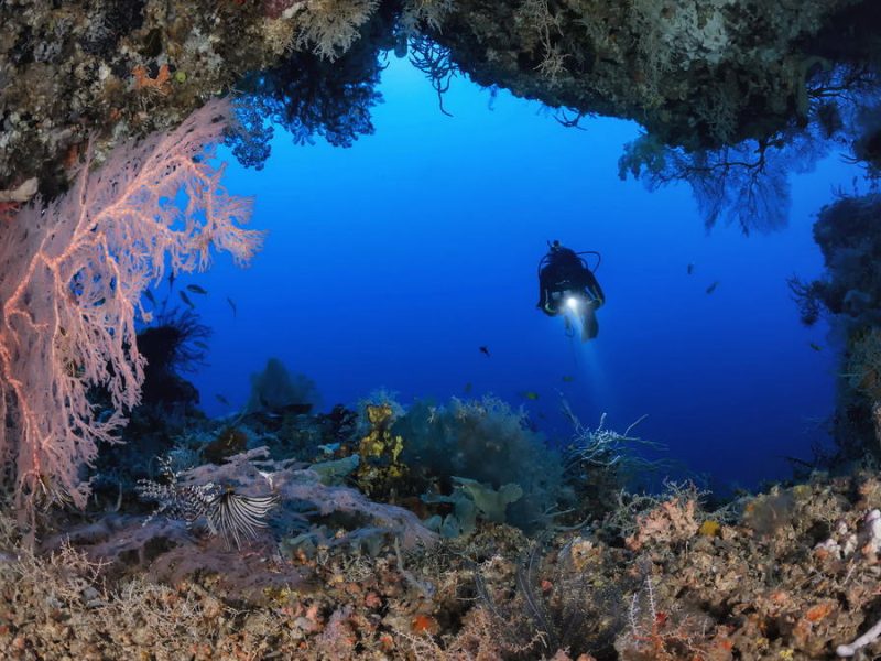 Diving Kimbe Bay - The Complete Guide | Indopacificimages