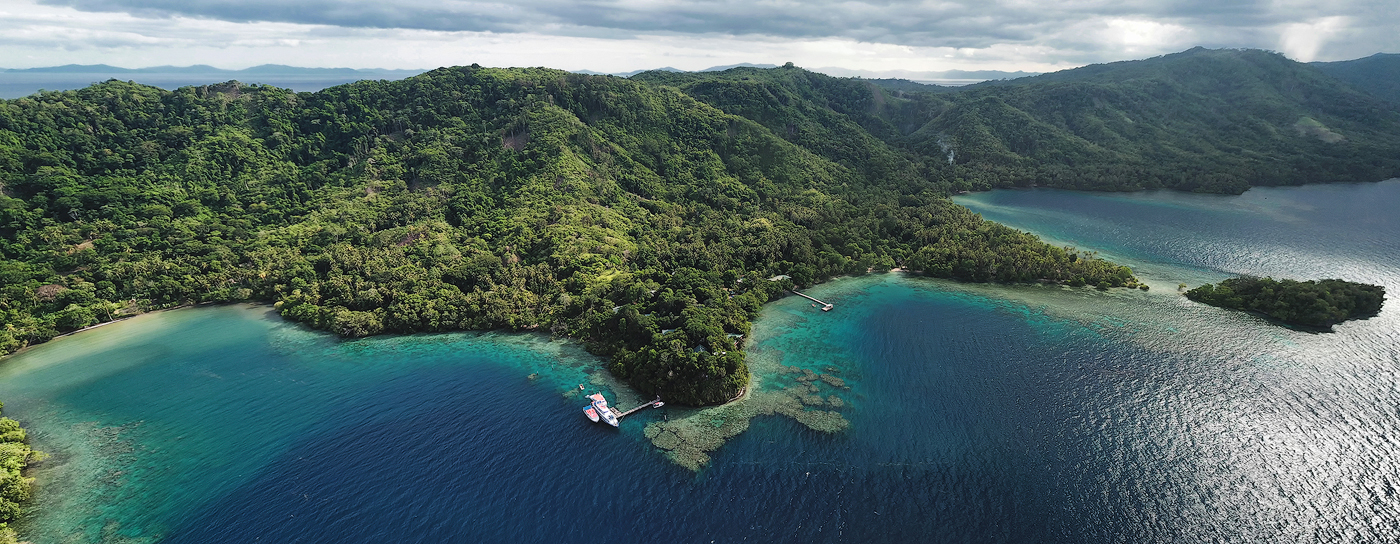Diving Milne Bay - The Complete Guide | Indopacificimages